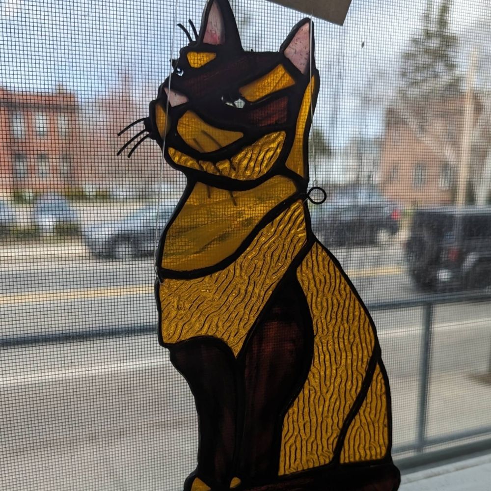 MEOW CAT LOUNGE - Updated June 2025 - 49 Photos & 11 Reviews - 630 Main ...