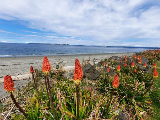 POINT NO POINT LIGHTHOUSE & PARK - 71 Photos & 19 Reviews - 9009 Point ...