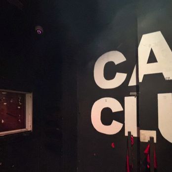 CAT CLUB - Updated December 2025 - 1761 Photos & 501 Reviews - 1190 ...