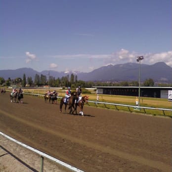 HASTINGS RACECOURSE - Updated October 2025 - 53 Photos & 27 Reviews ...