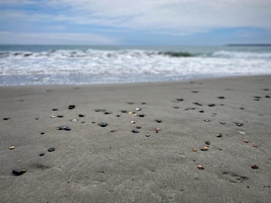 SECOND BEACH / SACHUEST BEACH - Updated August 2025 - 195 Photos & 108 ...