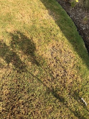 ANDY’S SPRINKLER, DRAINAGE & LIGHTING - Updated May 2024 - 29 Photos ...