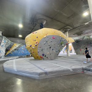 DOGPATCH BOULDERS - 141 Photos & 168 Reviews - 2573 3rd St, San ...