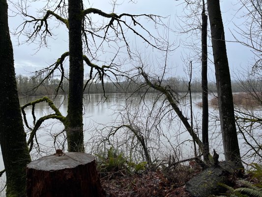 KEIZER RAPIDS PARK - Updated October 2025 - 40 Photos & 29 Reviews ...