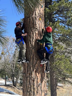 PALI INSTITUTE - 196 Photos & 238 Reviews - 30778 CA-18, Running ...