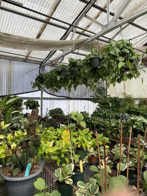 POLY PLANT SHOP - Updated October 2025 - 32 Photos - 1 Grand Ave, San ...