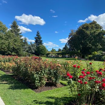 OWEN ROSE GARDEN - Updated October 2025 - 182 Photos & 36 Reviews - 300 ...