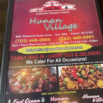 HALAL HUNAN VILLAGE TYSONS - Updated October 2025 - 39 Photos & 75 ...