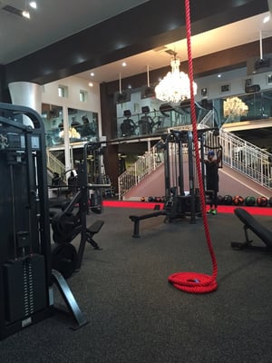 ANATOMY - Updated October 2025 - 61 Photos & 65 Reviews - 1212 Lincoln ...