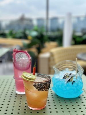 LILLISTAR - Updated October 2025 - 133 Photos & 45 Reviews - 353 ...