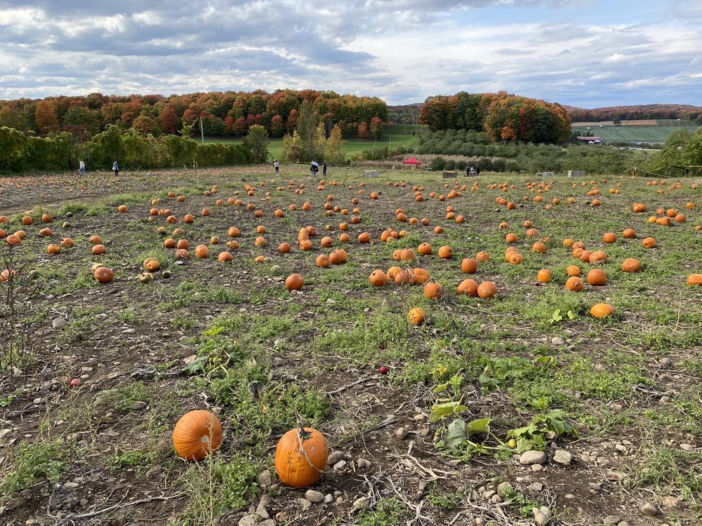LABONTÉ DE LA POMME - VERGER & MIELLERIE - Updated December 2025 - 27 ...