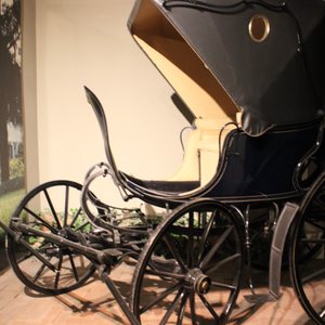 BOESHREEN - 162 Photos & 149 Reviews - 2630 Decker Blvd, Columbia, SC ...