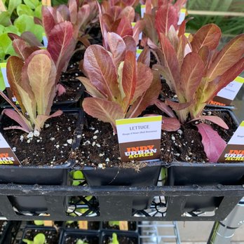 SNAKEROOT BOTANICALS - Updated October 2025 - 36 Photos & 14 Reviews ...