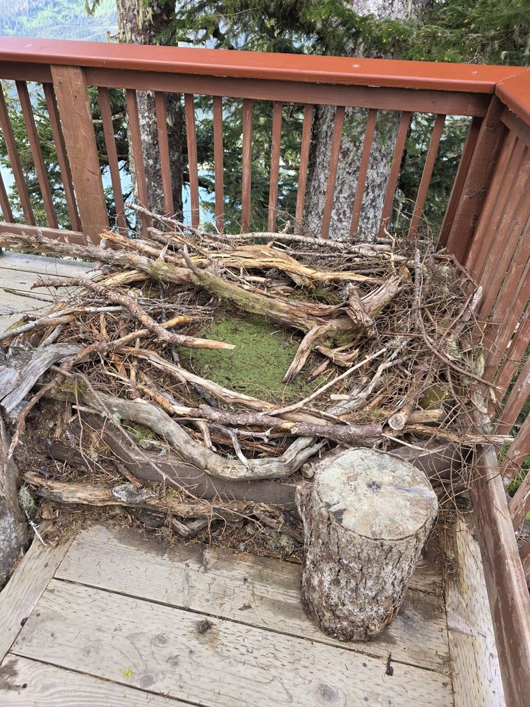 ALPINE LOOP TRAIL - Updated December 2025 - 38 Photos - 490 S Franklin ...