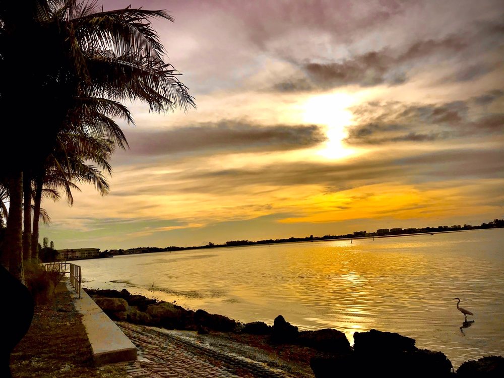 BIRD KEY PARK - 57 Photos & 10 Reviews - Parks - 101 Bird Key Dr ...