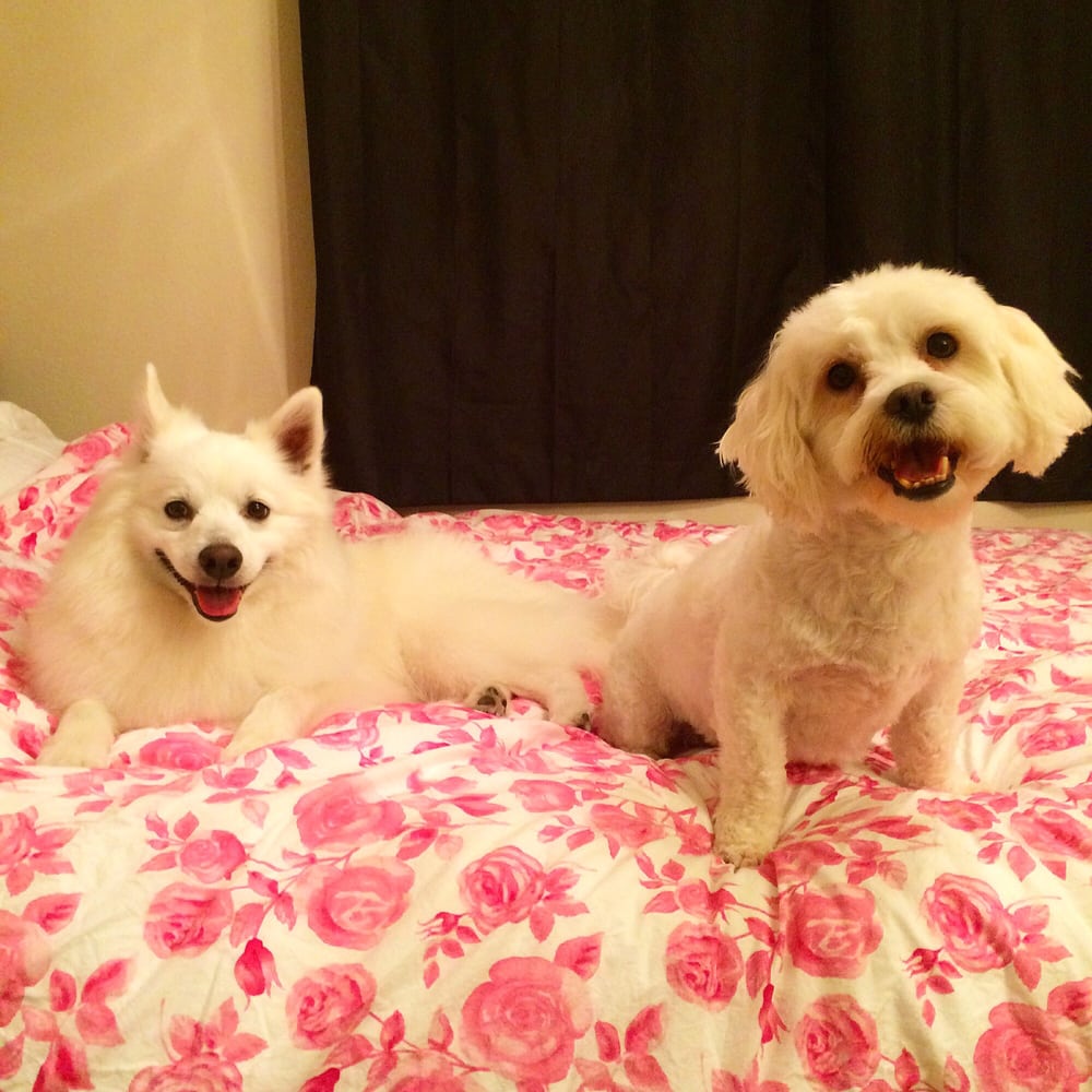 SEE SPOT SHOP - Updated October 2025 - 20 Reviews - 32531 N Scottsdale ...