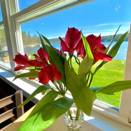 MAPLE ON THE LAKE - Updated July 2025 - 103 Photos & 90 Reviews - 141 ...