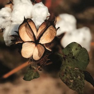 VANGO LOUNGE & SKYBAR - 83 Photos & 377 Reviews - Lounges - 116 S 18th ...