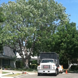 BUDGET TREE SERVICE - 94 Photos & 144 Reviews - Westlake Village ...