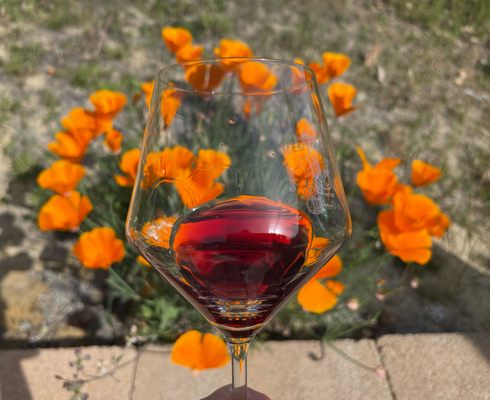 PURPLE PACHYDERM WINES AT CLAYPOOL CELLARS - Updated September 2025 ...