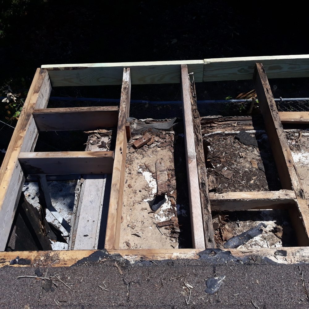 OSMANY BORGES - Updated July 2025 - Request a Quote - 40 Photos - 7450 ...