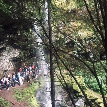 CISPUS LEARNING CENTER - Updated September 2025 - 13 Photos - 2142 ...