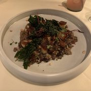 THE TREE ROOM - 244 Photos & 159 Reviews - 8841 N Alpine Loop Rd ...