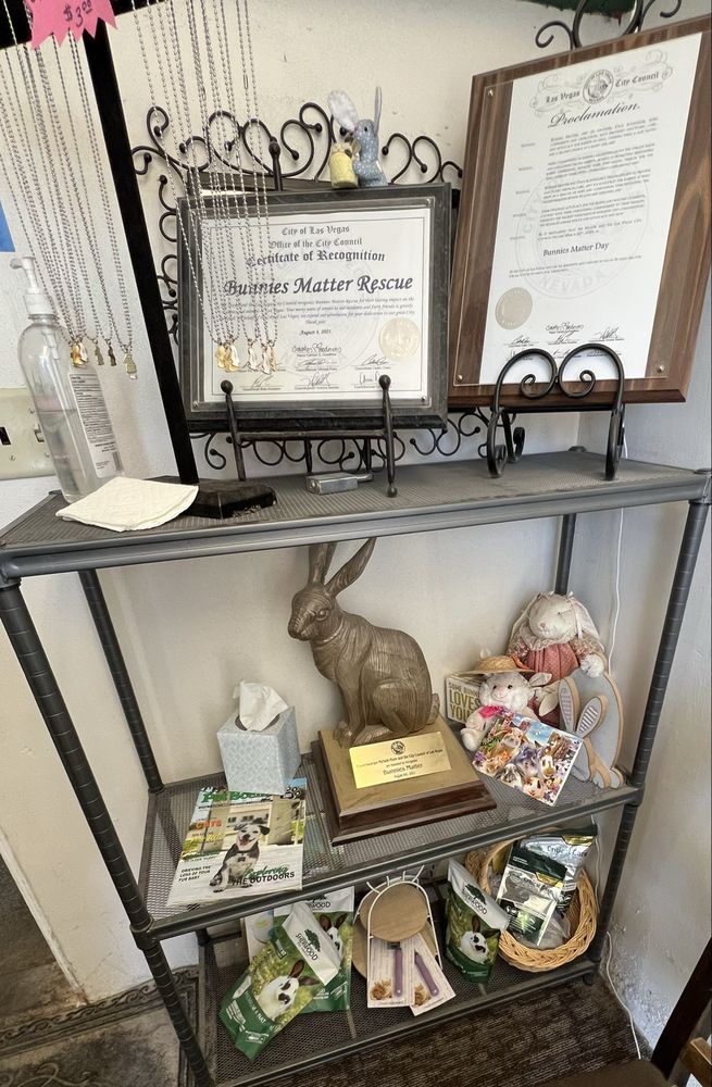 BUNNIES MATTER RESCUE - Updated November 2025 - 20 Photos - 9200 Tule ...