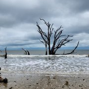 BOTANY BAY PLANTATION - 278 Photos & 65 Reviews - 7510 Botany Bay Rd ...