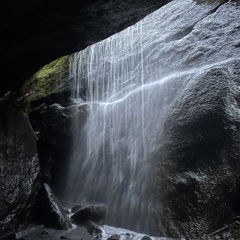 NELSON LEDGES QUARRY PARK - Updated December 2025 - 36 Photos & 66 ...