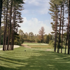 TRULL BROOK GOLF COURSE, INC - Updated October 2025 - 77 Reviews - 170 ...