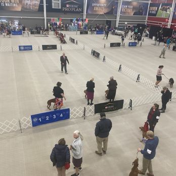 PURINA FARMS - TEMP. CLOSED - Updated August 2025 - 161 Photos & 54 ...