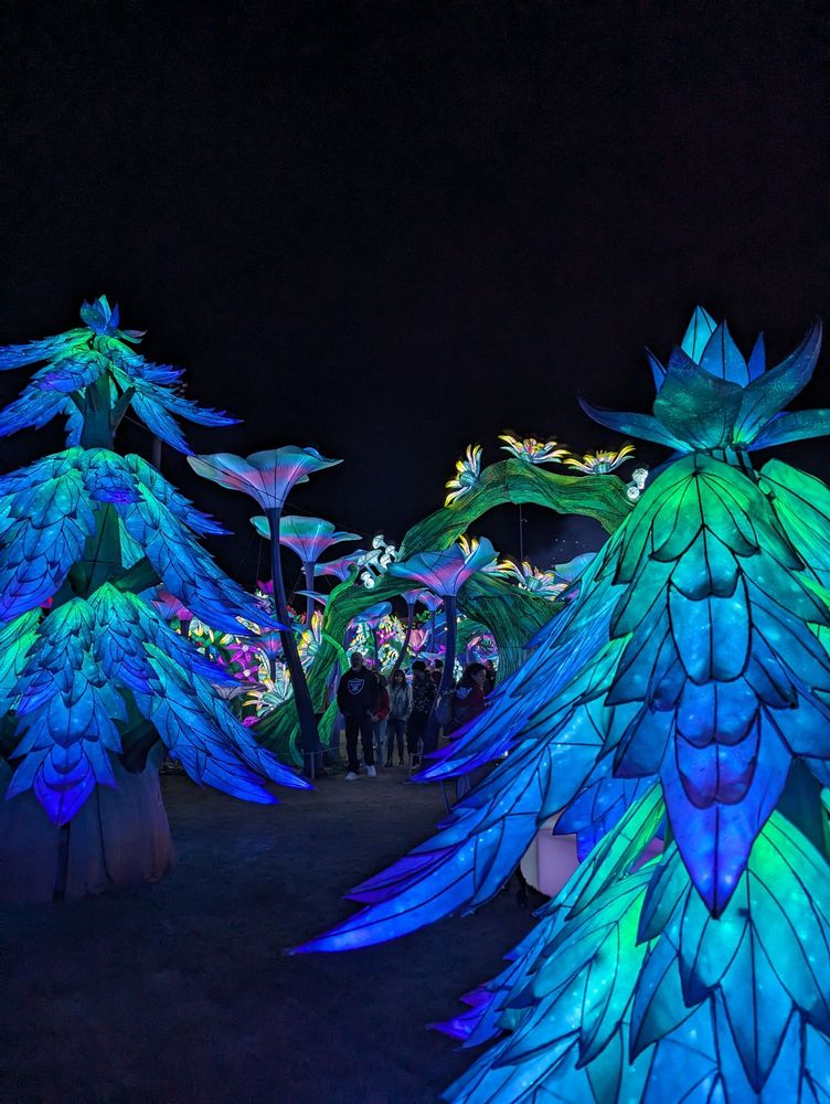 STOCKTON LANTERN FESTIVAL MAGIC FOREST - Updated December 2024 - 29 ...