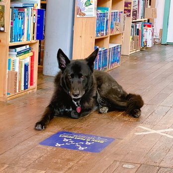 DOG EARED BOOKS - Updated October 2024 - 186 Photos & 297 Reviews - 900 ...