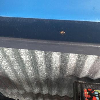 MUD BUMS - Updated December 2025 - 37 Photos & 37 Reviews - 231 ...