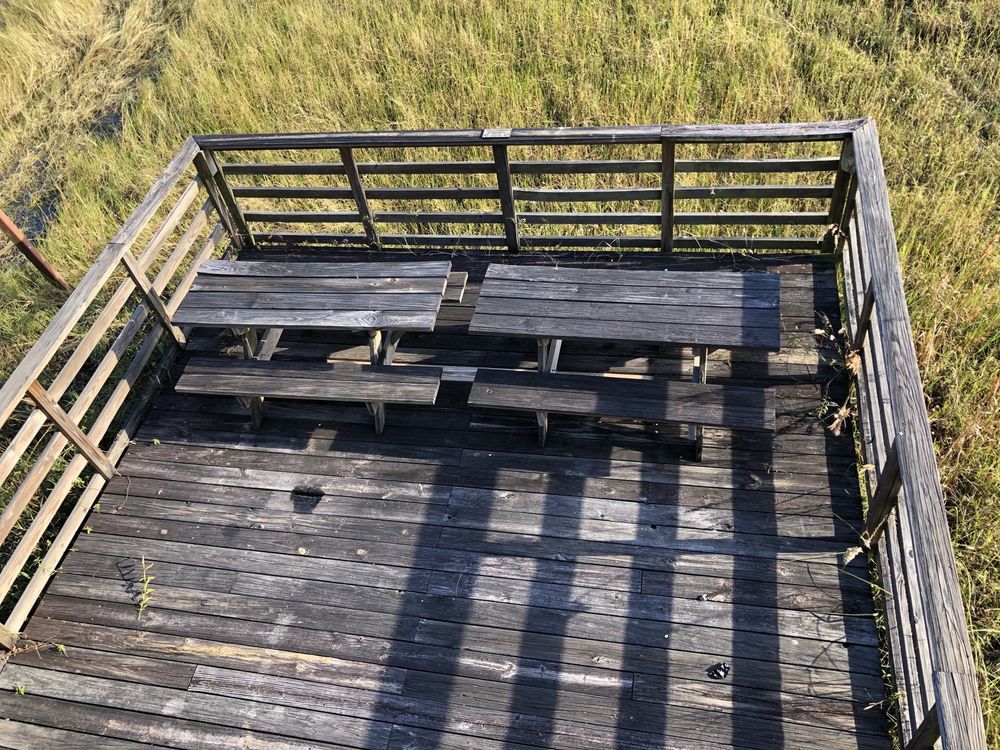 CREW CORKSCREW MARSH TRAILS - Updated January 2025 - 57 Photos - 4600 ...