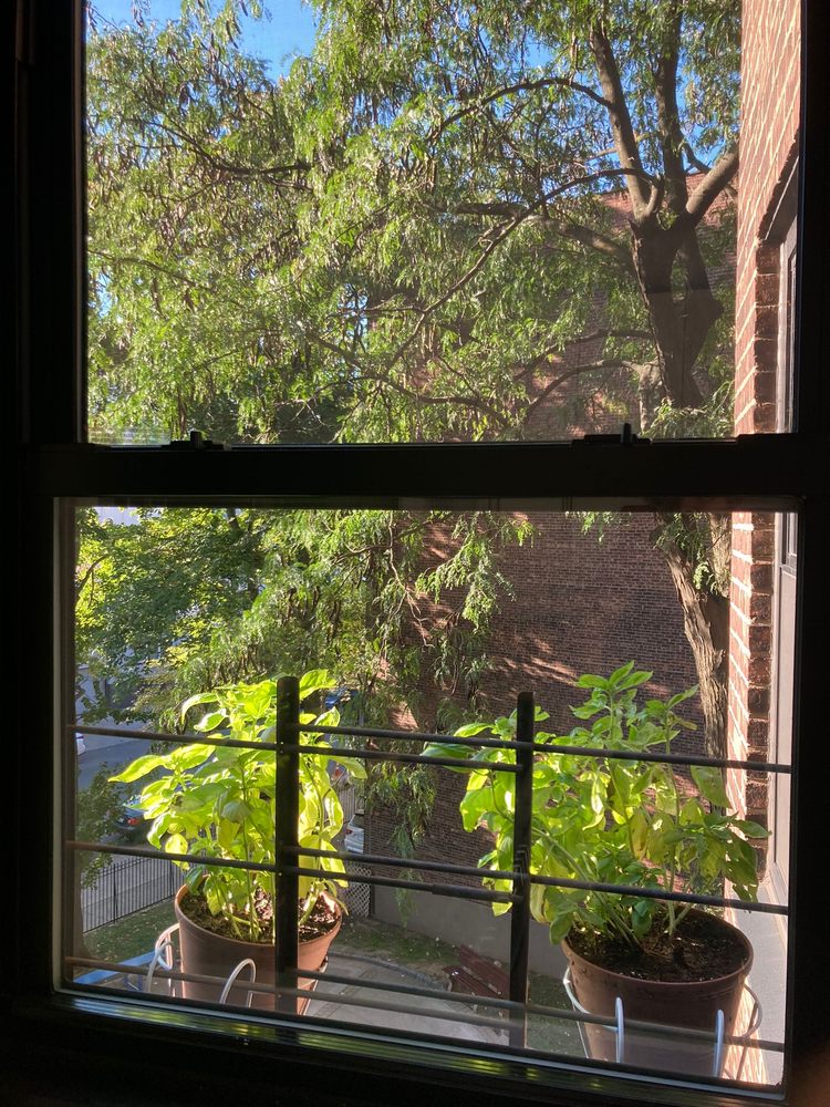 SAM WINDOW CLEANING - Updated May 2024 - Brooklyn, New York - Window ...