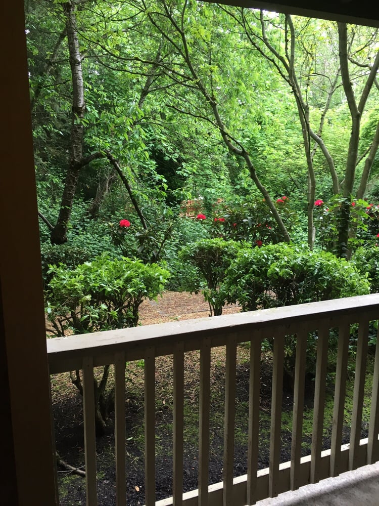 FOREST RIM APARTMENTS - Updated October 2025 - 33 Reviews - 6765 SW ...