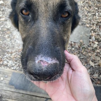 PET GALAXY - Updated January 2026 - 29 Photos & 24 Real Reviews - 13060 ...