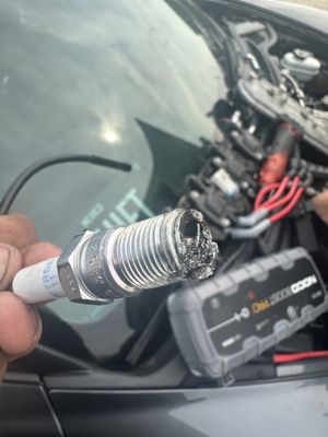 TEXAS HOT RIDES - Updated December 2025 - 31 Photos & 75 Reviews - 1833 ...