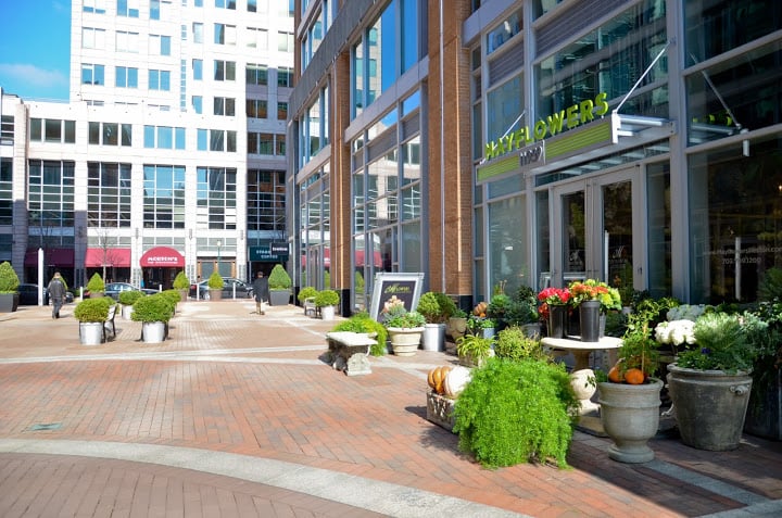 MONICA FLORIO - Fairfax, VA - Yelp