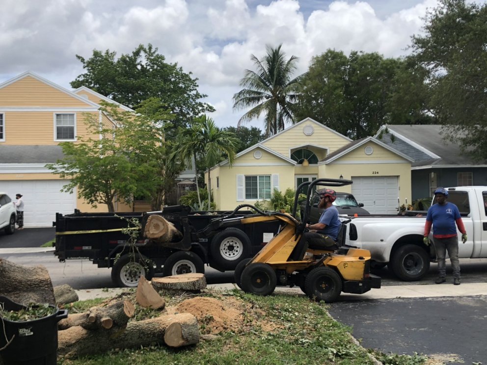LUMBERJACK JAKE’S SOUTH FLORIDA TREE SERVICE - Updated December 2024 ...