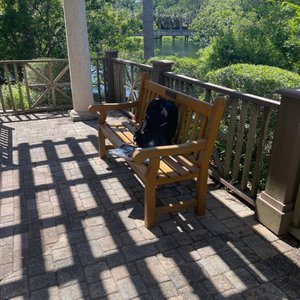 JACKSONVILLE PUBLIC LIBRARY - BEACHES BRANCH - Updated October 2025 ...