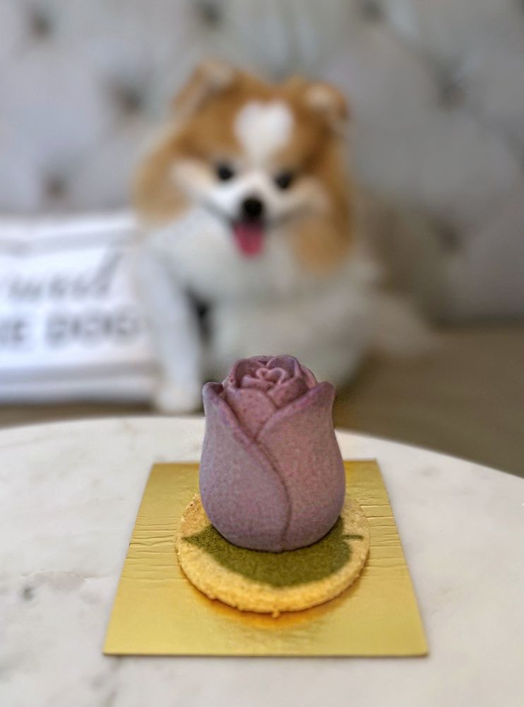DOGUE - Updated May 2026 - 136 Photos & 42 Reviews - 988 Valencia St ...