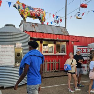 SPINNERS OF FLORENCE - Updated February 2025 - 15 Photos & 32 Reviews ...