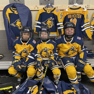 AZ ICE - GILBERT - Updated May 2025 - 56 Photos & 89 Reviews - 2305 E ...