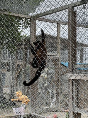 OCTAGON WILDLIFE SANCTUARY - Updated April 2024 - 178 Photos & 40 ...