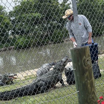 ALLIGATOR ALLEY - Updated August 2024 - 485 Photos & 162 Reviews ...