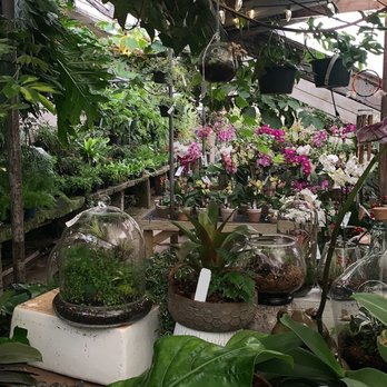 PECKHAM’S GREENHOUSE - Updated January 2026 - 71 Photos & 26 Reviews ...