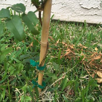 SAIZ LANDSCAPING - Updated December 2025 - 10 Reviews - 13525 Swaps St ...